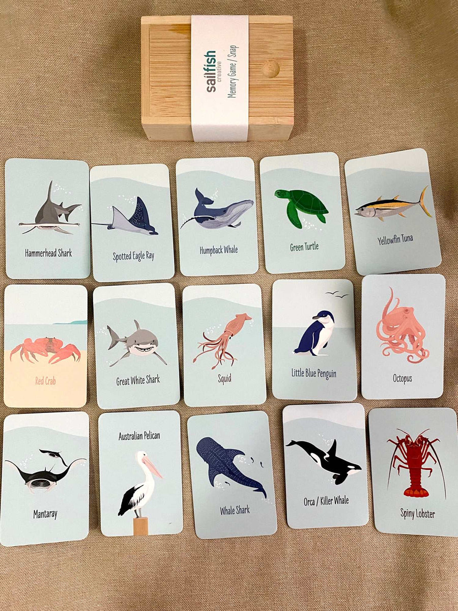 Memory Game/Snap Card Game in Box – Sailfish Creative