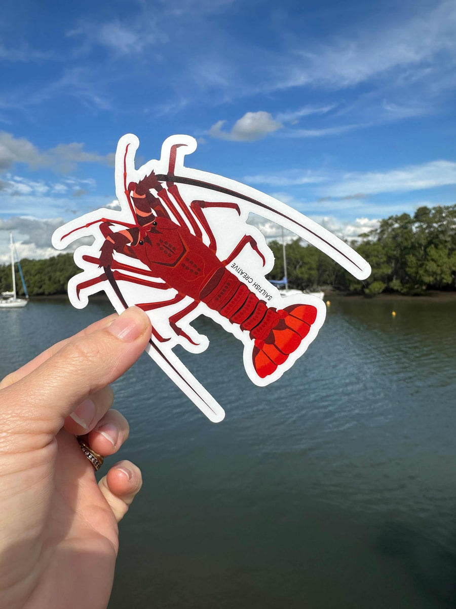 Sticker - Crayfish Rock Lobster – Sailfish Creative